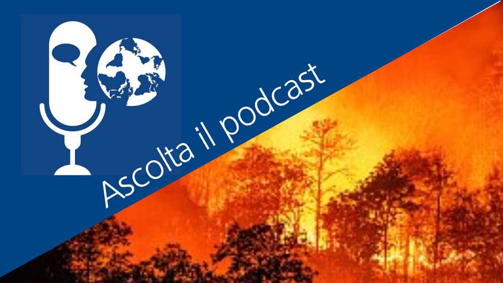 La lotta agli incendi boschivi fra cambiamenti climatici e norme di ...